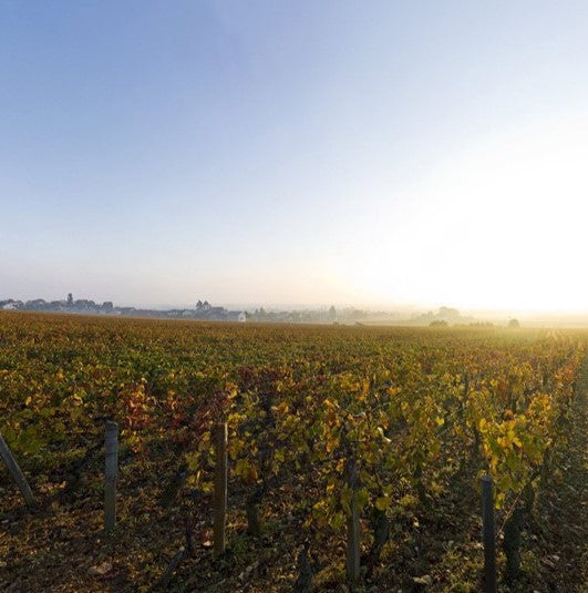 Bonnes-Mares Grand Cru – Vins de Bourgogne rares et prestigieux – Wine ...